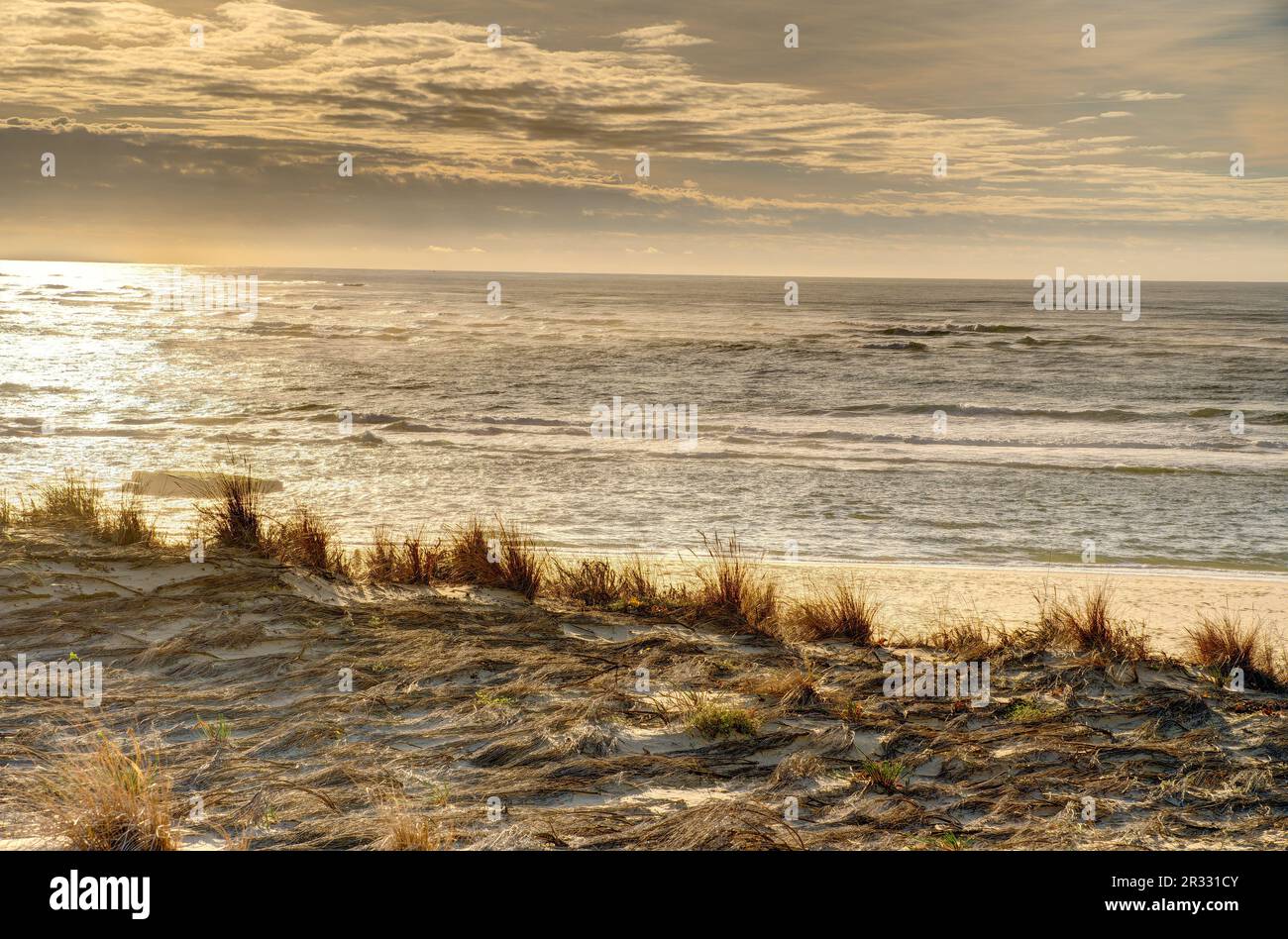 Cap Ferret Beach, France Stock Photo - Alamy