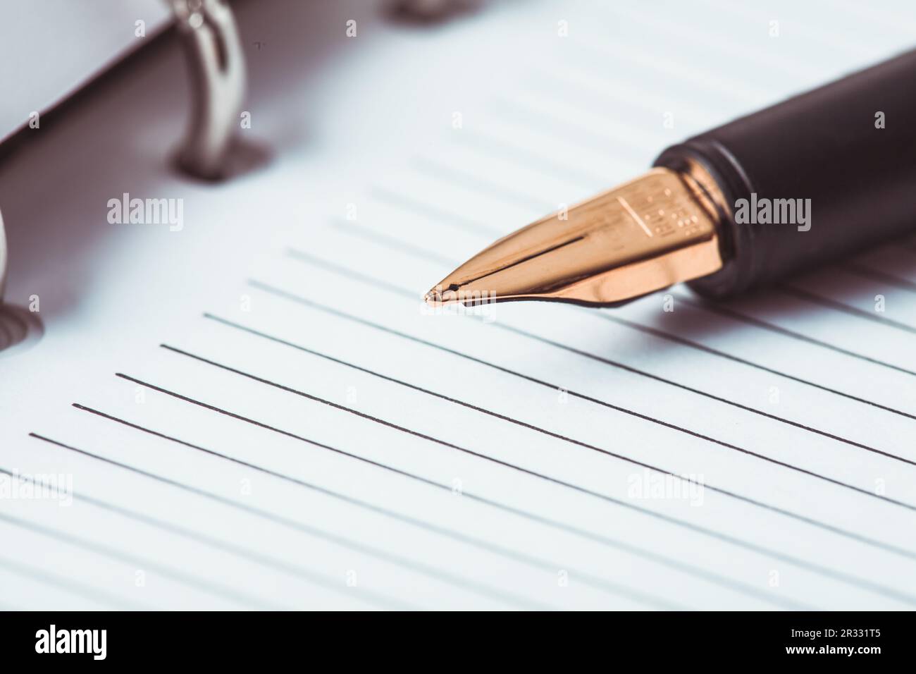 Old book feather pen hi-res stock photography and images - Alamy Old book feather pen hi-res stock photography and images - Alamy