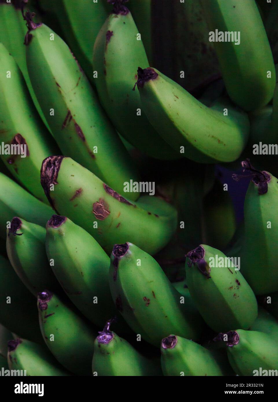 Tropical fruit examples hi-res stock photography and images - Alamy
