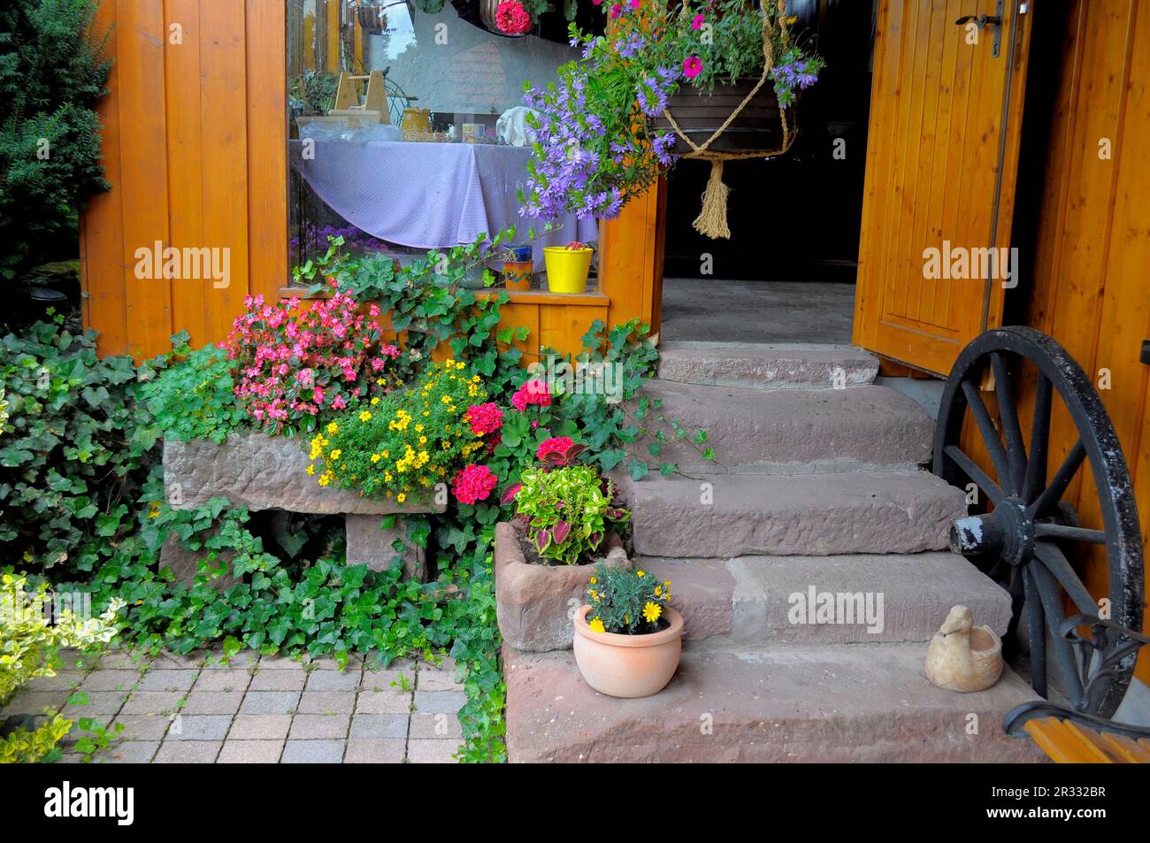 Traffic light plant Stock Photo - Alamy