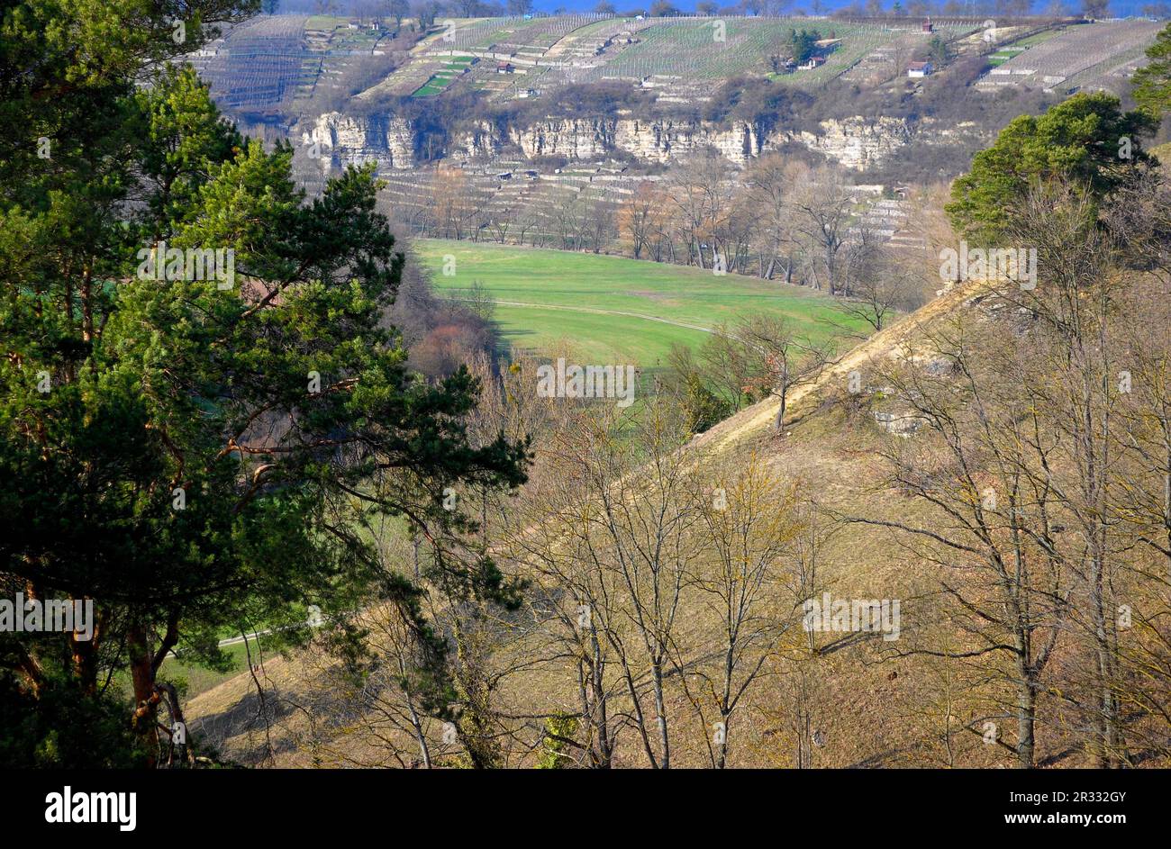 Red Rain Nature Reserve Stock Photo - Alamy