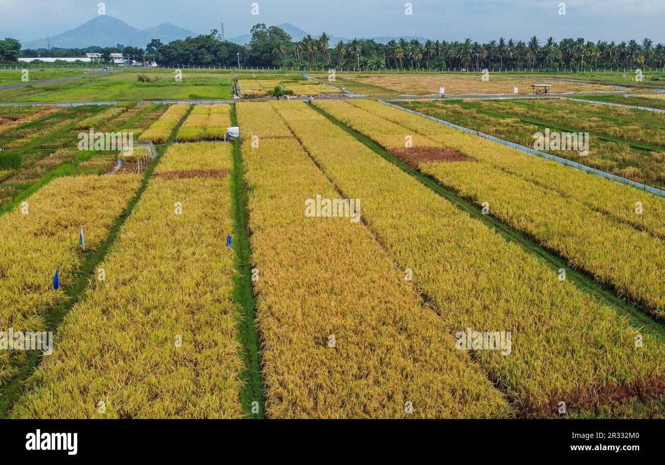Manila. 16th May, 2023. This aerial photo taken on May 16, 2023 shows a ...