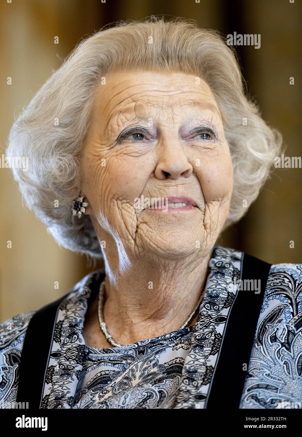 LEAD - Princess Beatrix during the presentation of the Jantje Beton ...
