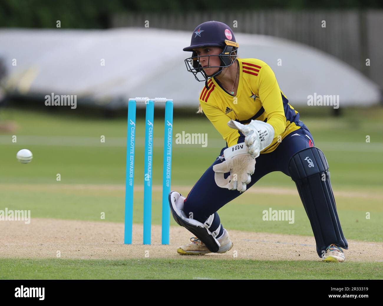South East Stars Kira Chathil during Charlotte Edwards Cup cricket ...