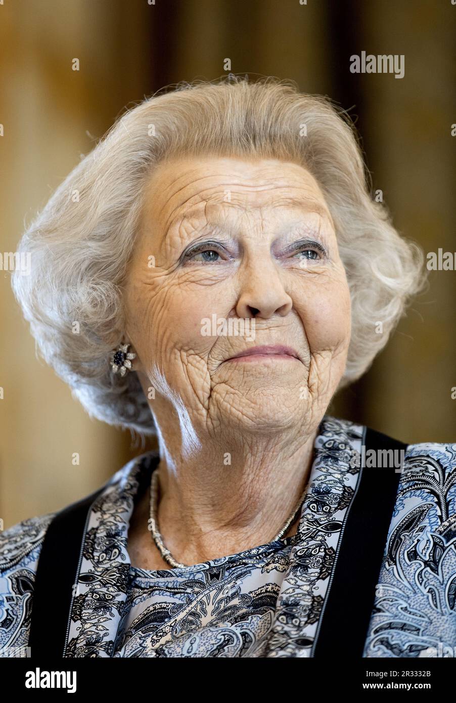LEAD - Princess Beatrix during the presentation of the Jantje Beton ...