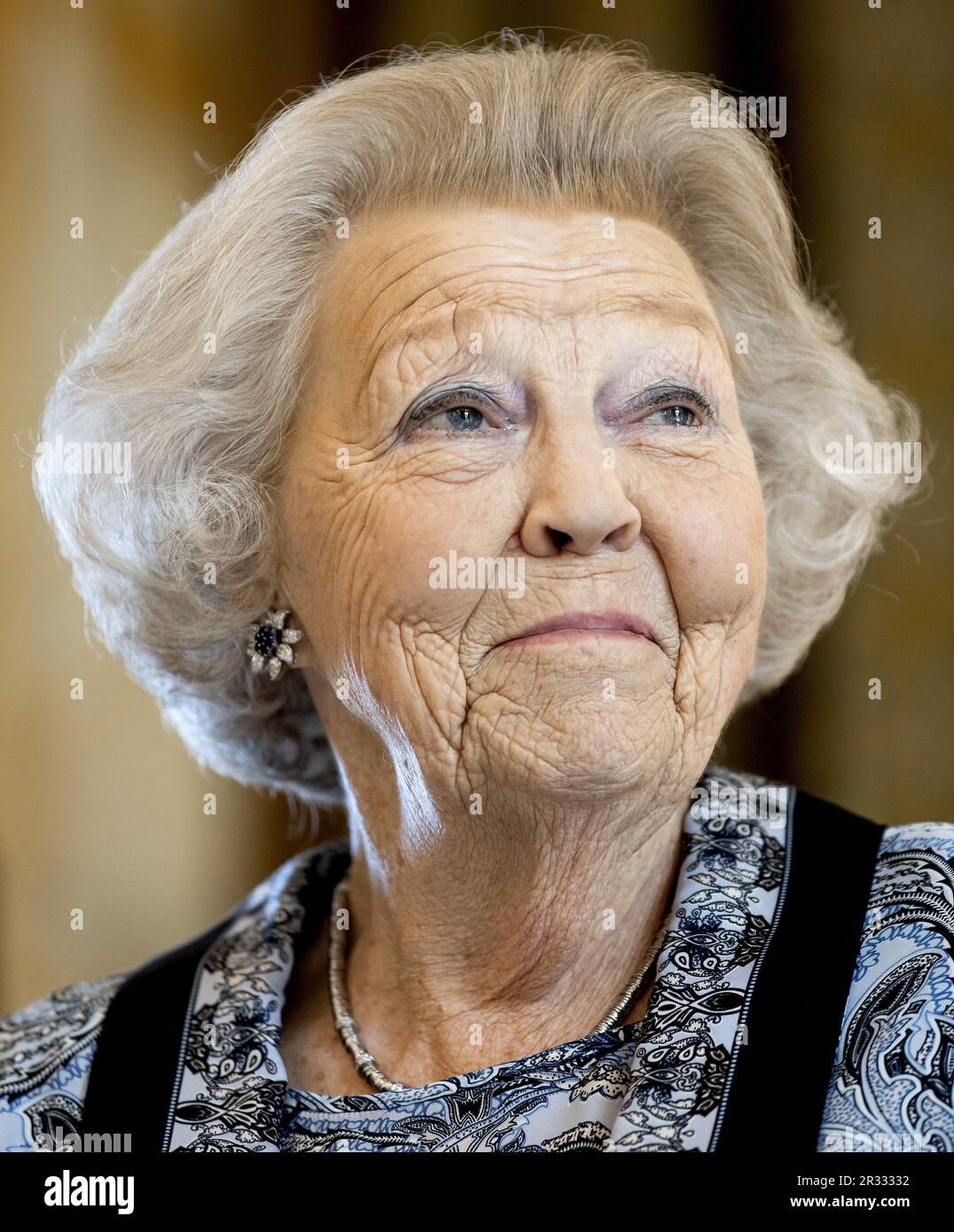 LEAD - Princess Beatrix during the presentation of the Jantje Beton ...