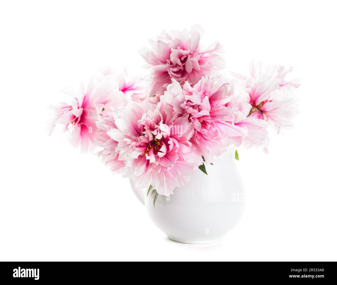 Pink plants pattern Cut Out Stock Images & Pictures - Alamy