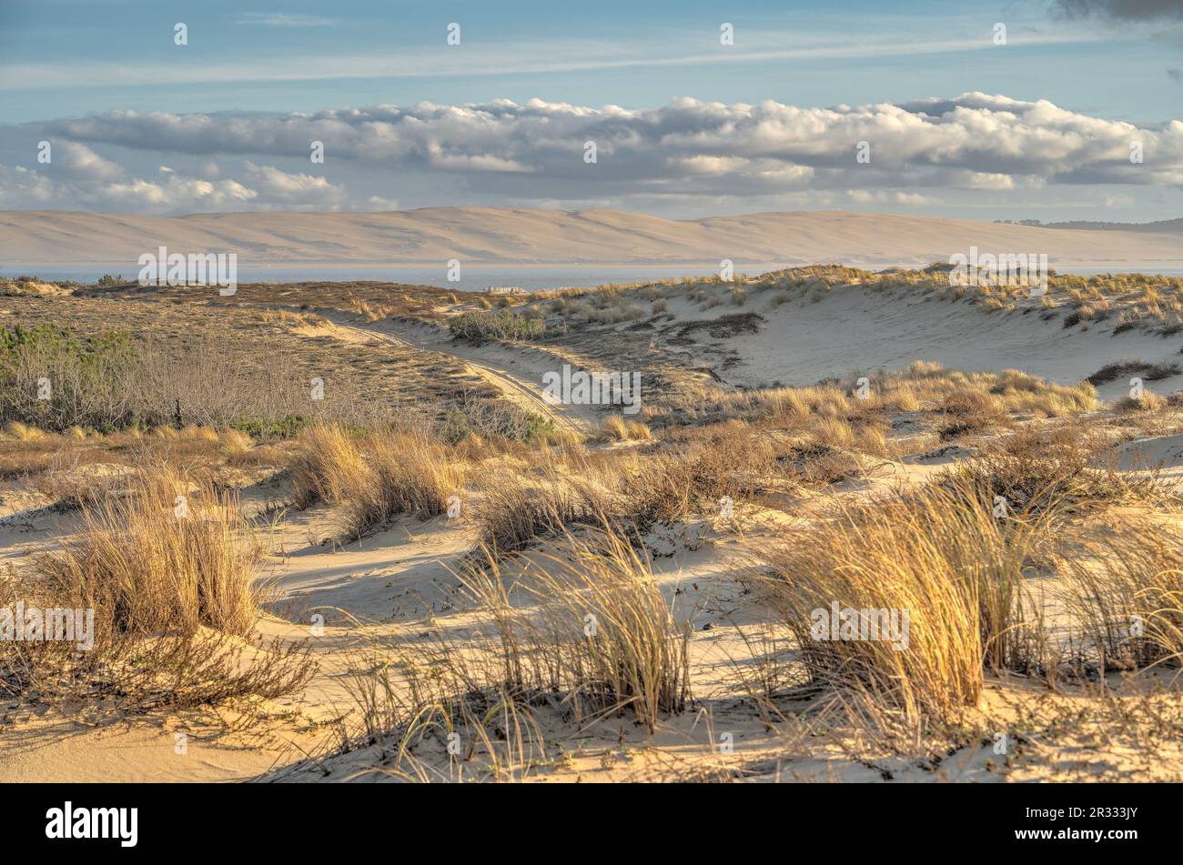 Cap Ferret Beach, France Stock Photo - Alamy