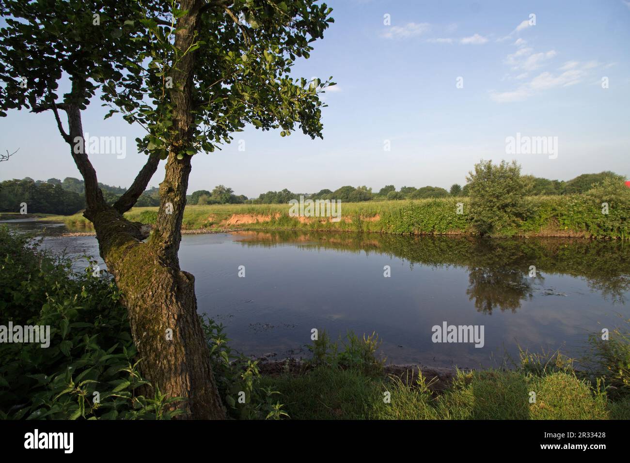 typical bucolic Devon river in the early morning light with green ...