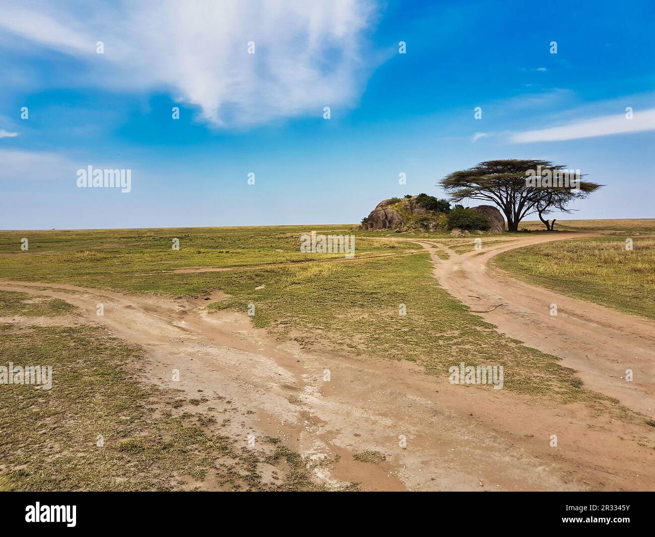 Kopje habitat hi-res stock photography and images - Alamy