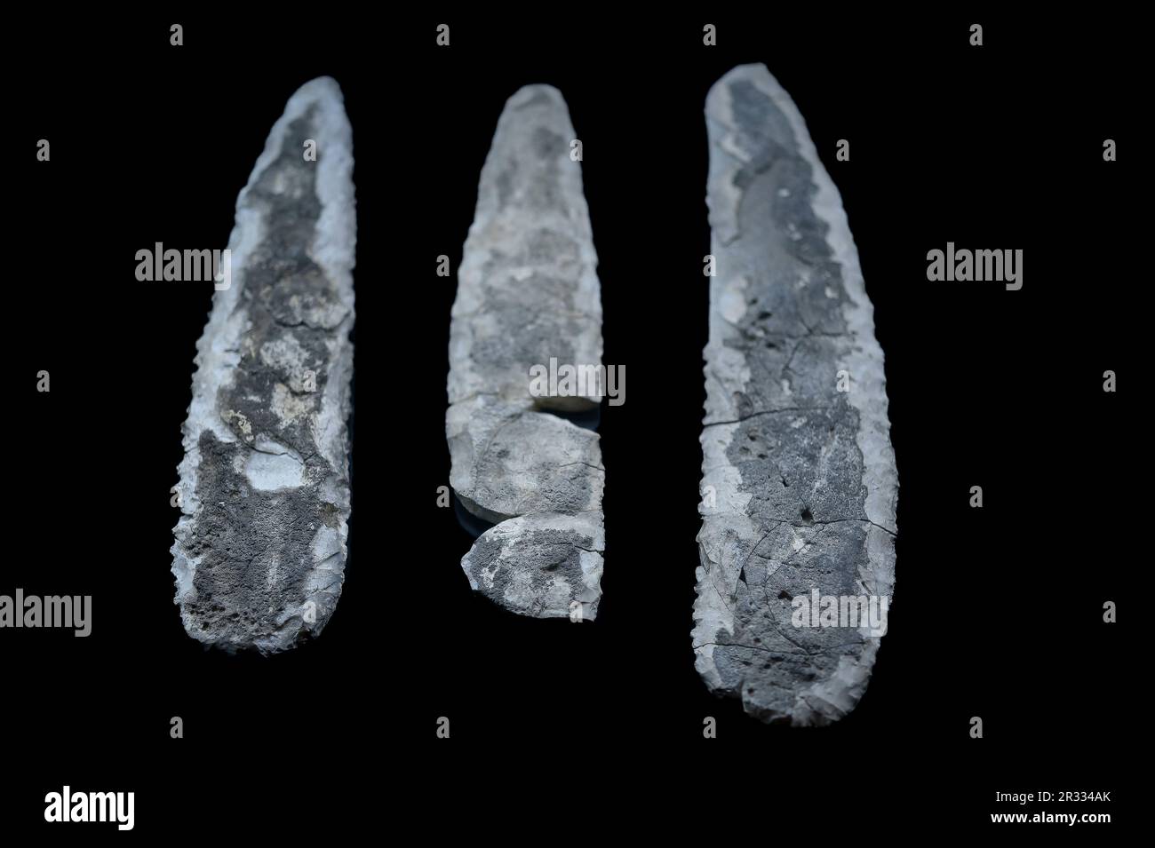 Prehistoric antique hi-res stock photography and images - Alamy