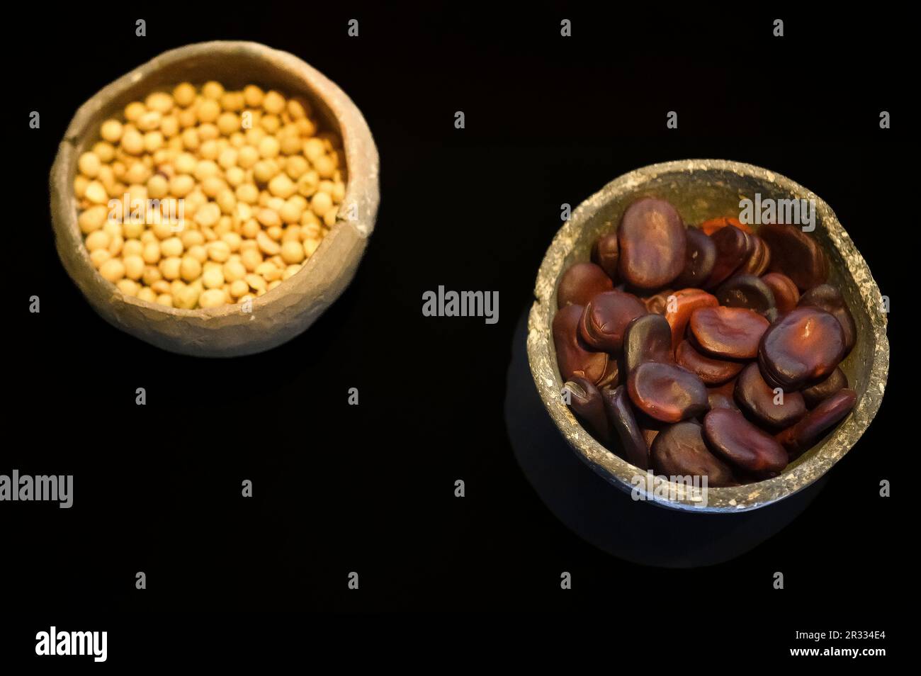 Prehistoric ancient food container hi-res stock photography and images ...