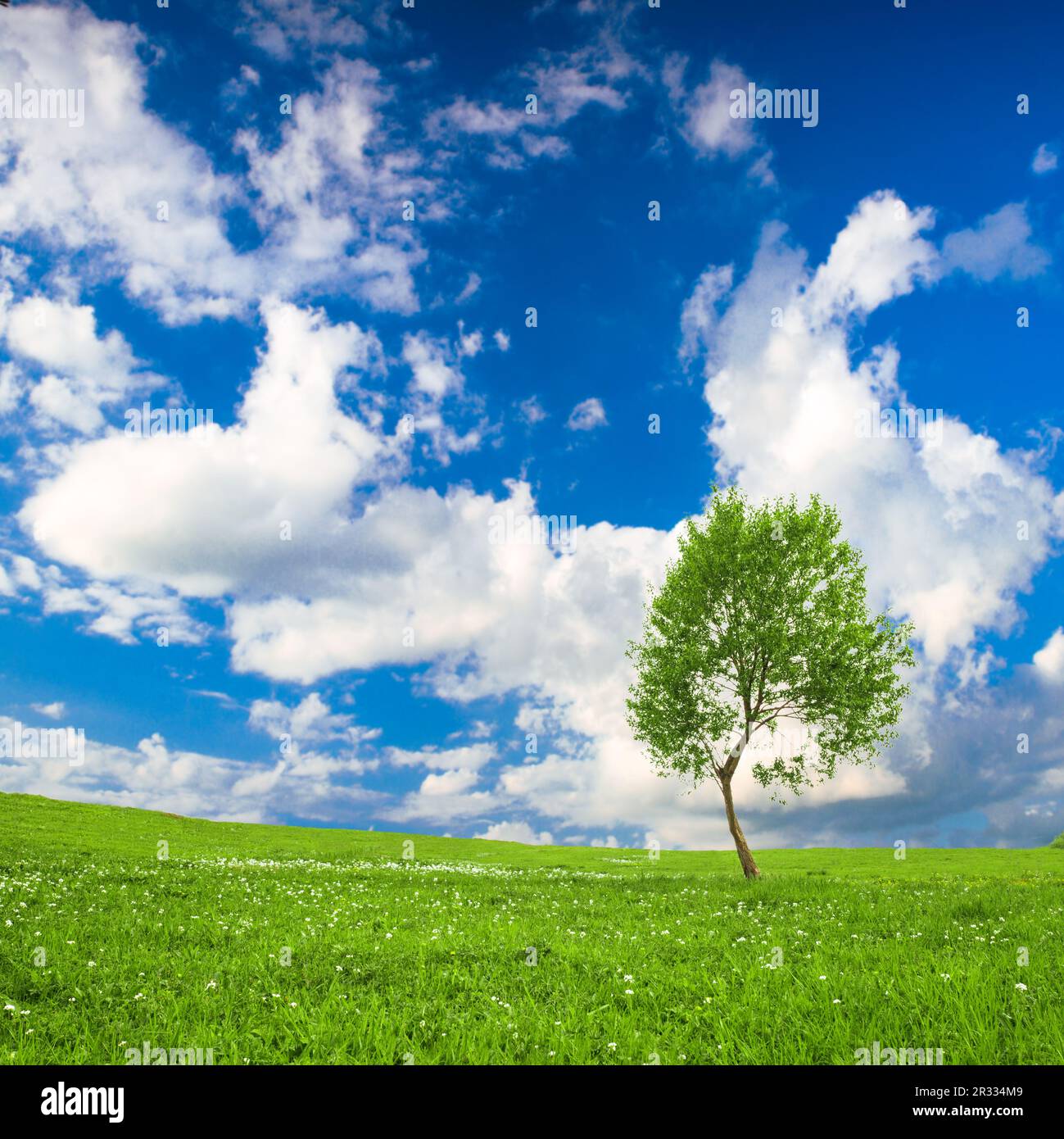 Lonely urban scene hi-res stock photography and images - Alamy