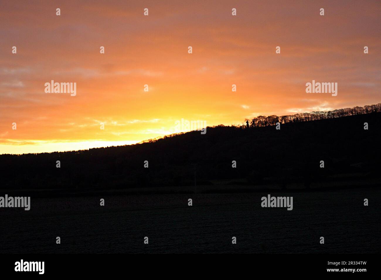 typical orange sunrise in Somerset with the silhouette of winter trees ...