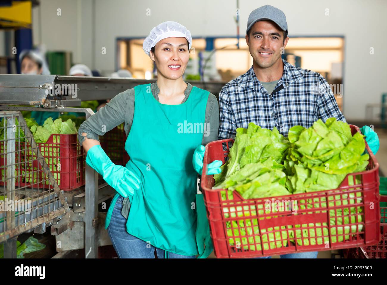 Female workers vegetable sorting hi-res stock photography and images ...