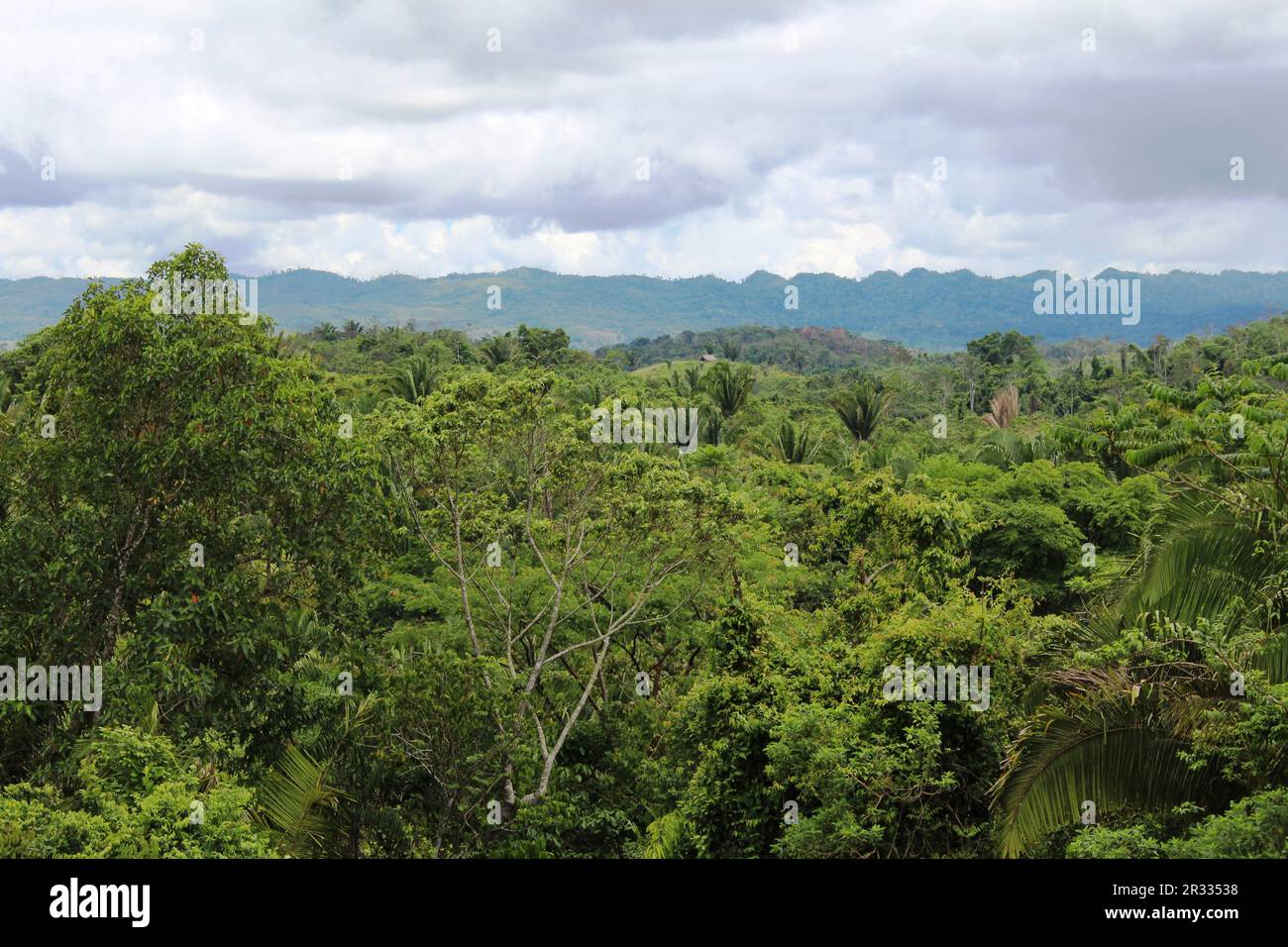 View of the Maya Mountains looking from Belize to Guatemala Stock Photo ...