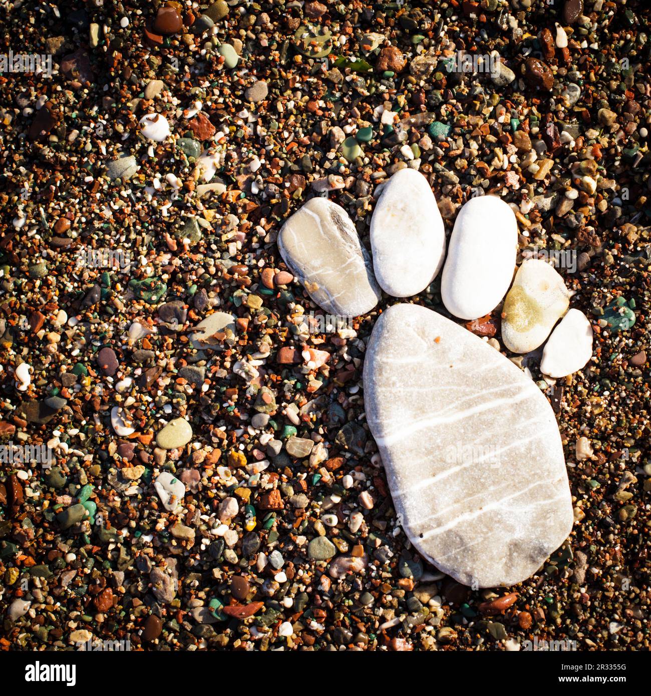 Solid foot hi-res stock photography and images - Alamy