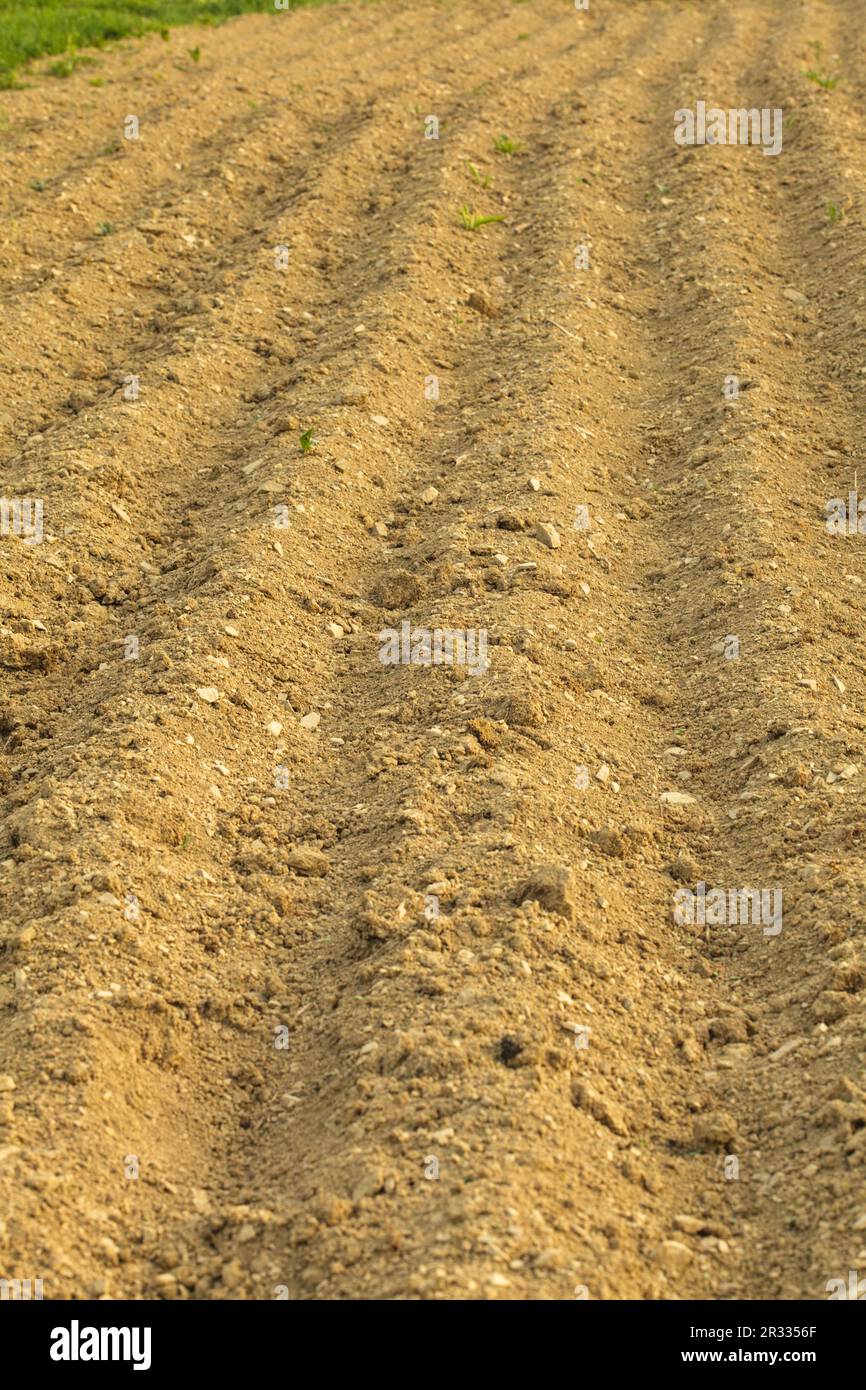 Straight furrows hi-res stock photography and images - Alamy
