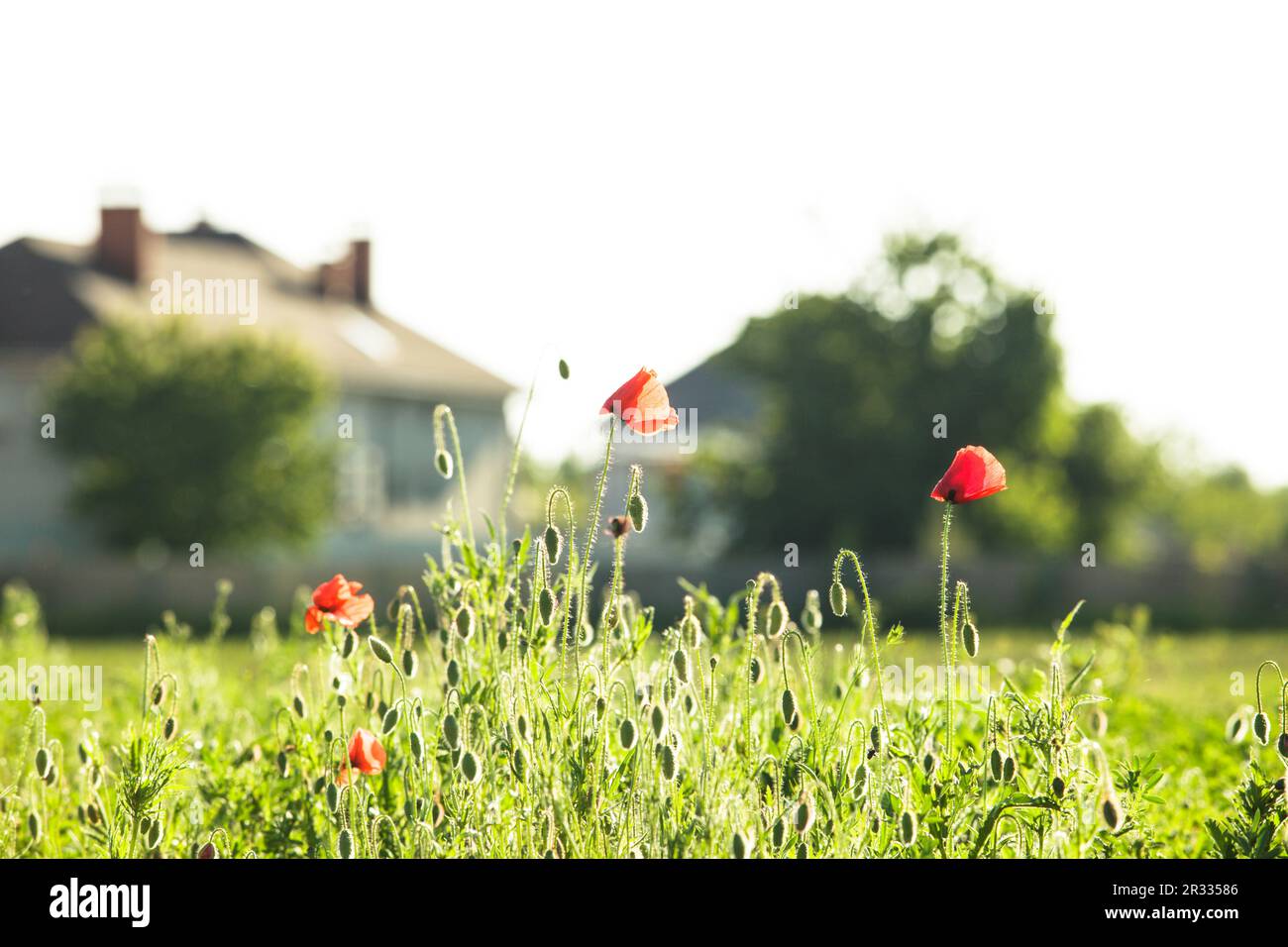 Non living nature hi-res stock photography and images - Alamy