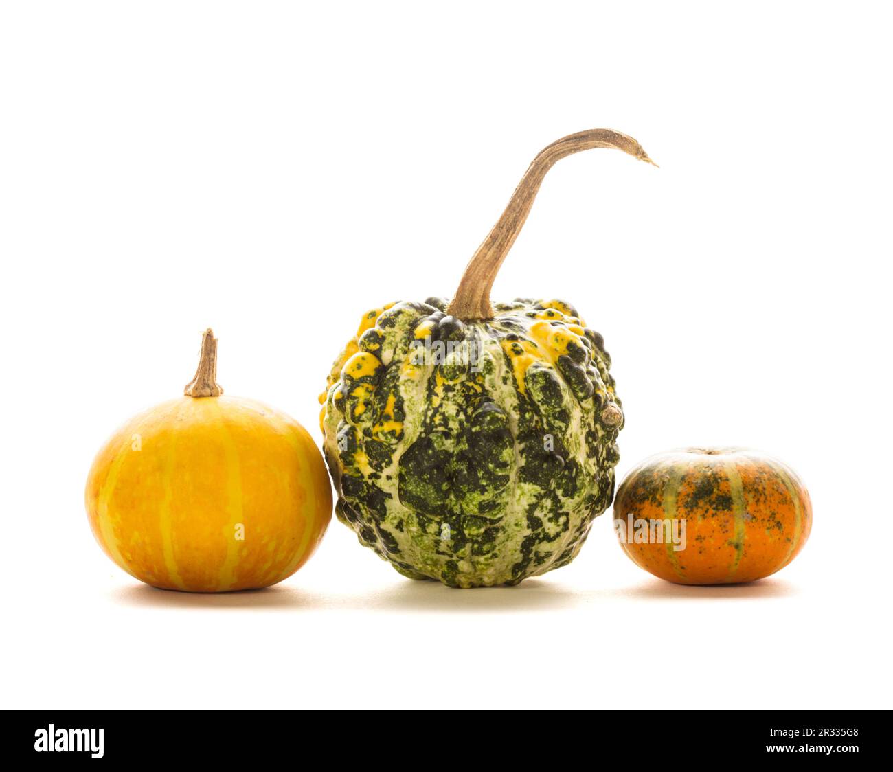 Mini yellow pumpkin vegetable Cut Out Stock Images & Pictures - Alamy