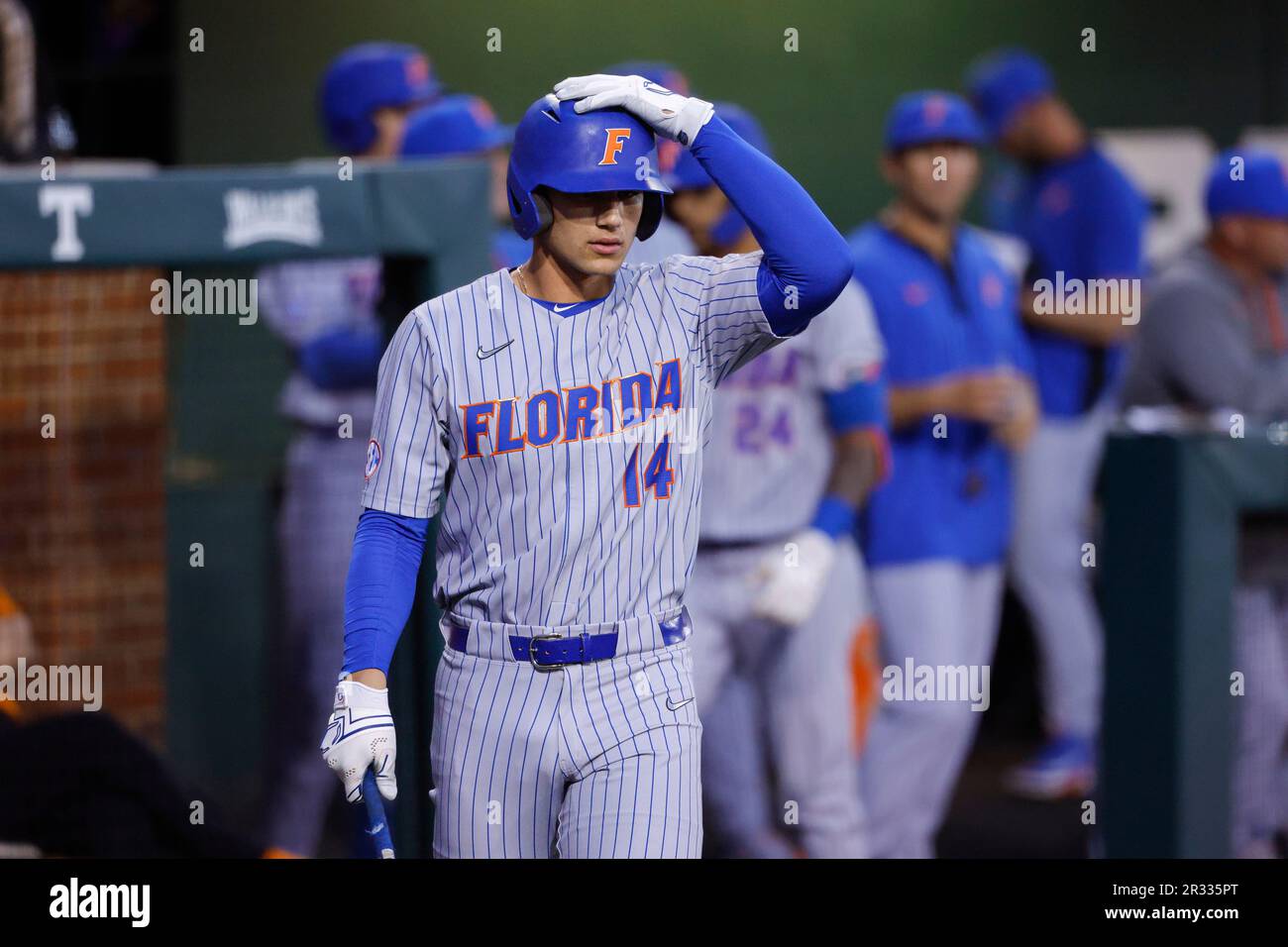 Florida Gators first baseman Jac Caglianone (14) at bat against the ...