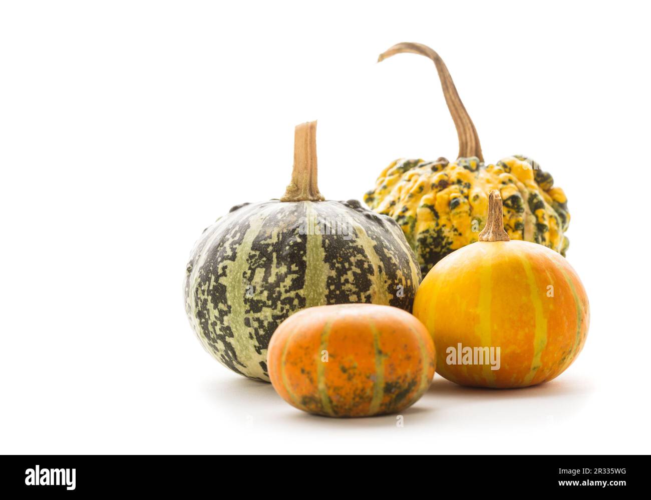 Mini yellow pumpkin vegetable Cut Out Stock Images & Pictures - Alamy