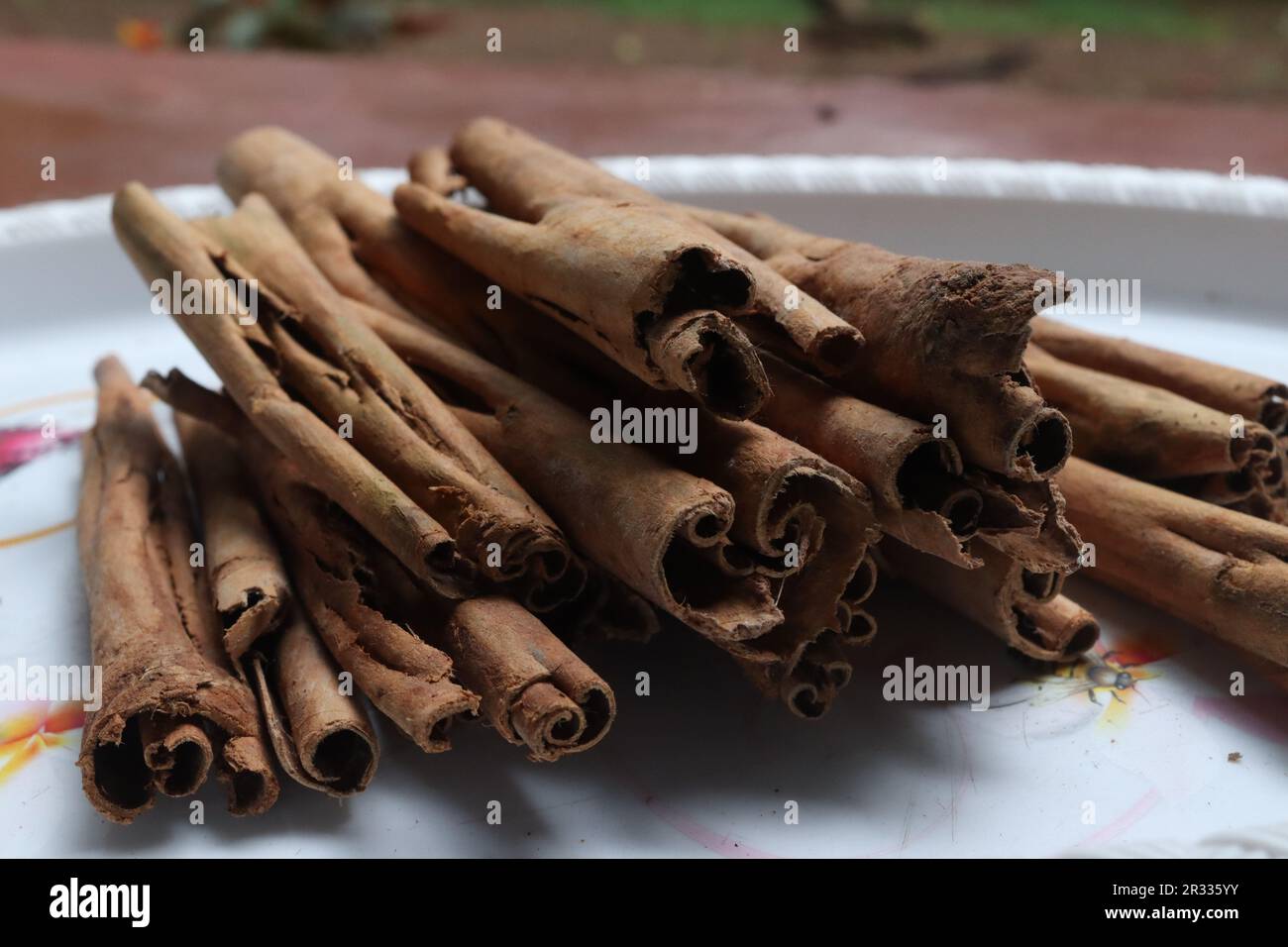 ceylon cinnamon is the world's best cinnamon brand.cinnamon is mainly ...