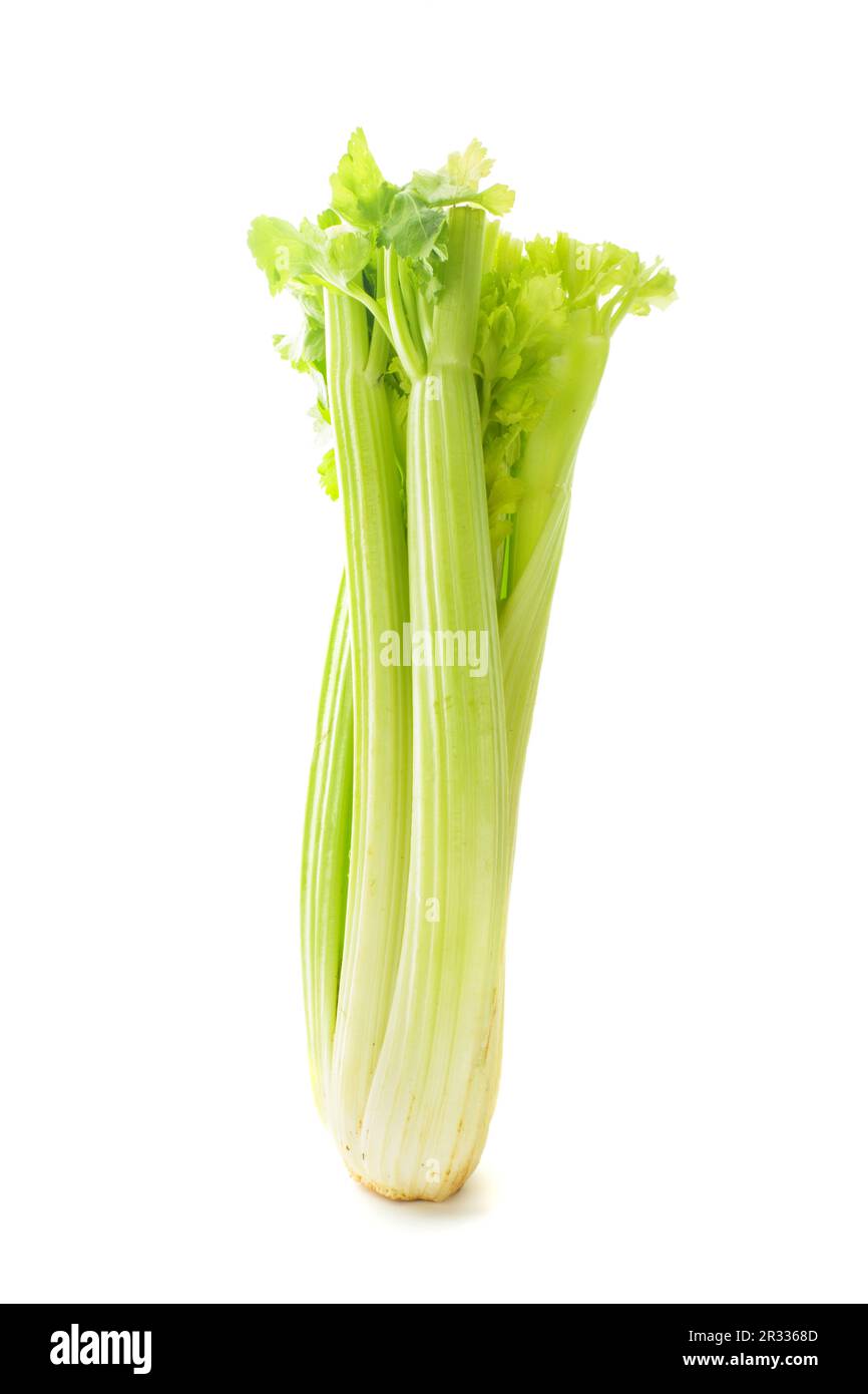 Green celery isolated Stock Photo - Alamy