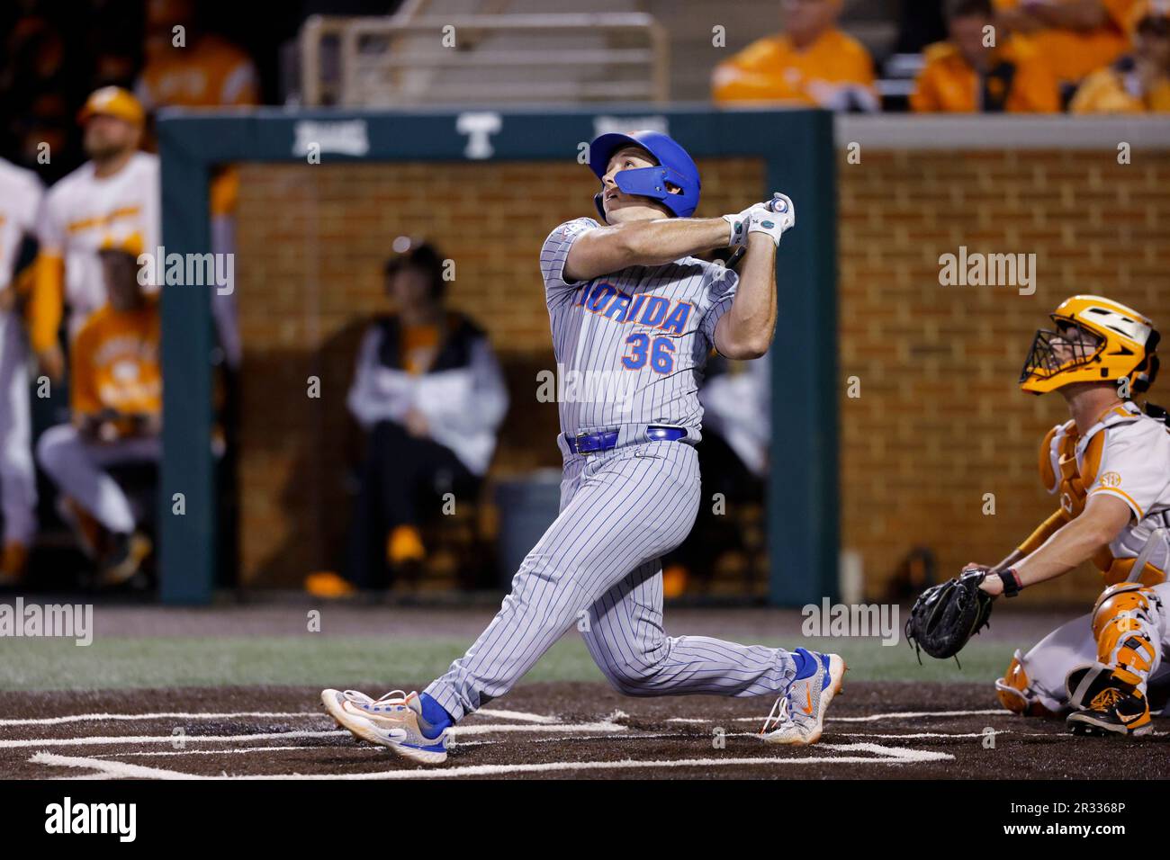 Florida Gators left fielder Wyatt Langford (36) at bat against the ...