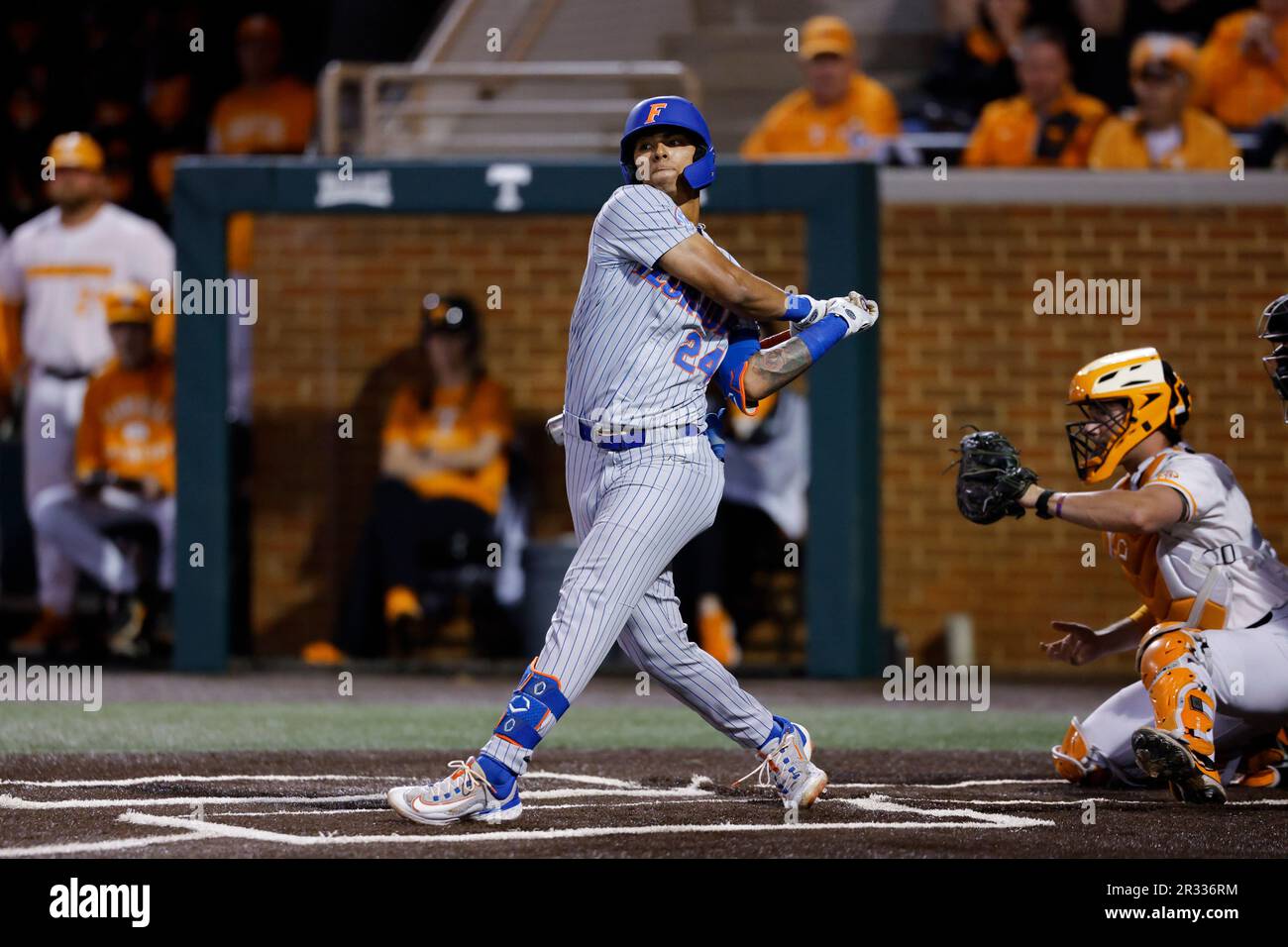Florida Gators shortstop Josh Rivera (24) at bat against the Tennessee ...