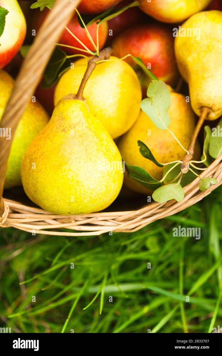 Apples and peaches on grass Stock Photo - Alamy