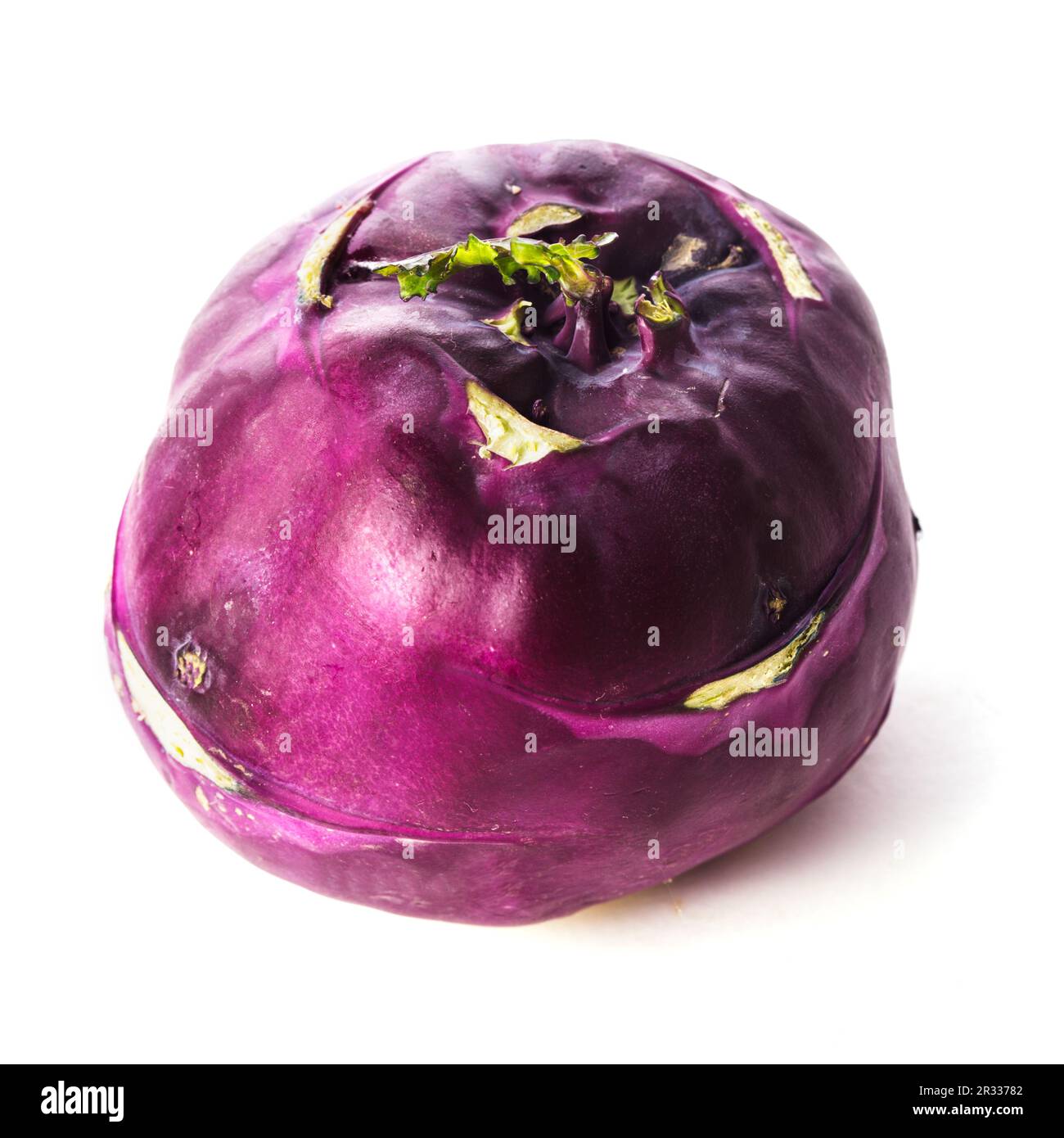 Kohlrabi harvest hi-res stock photography and images - Alamy