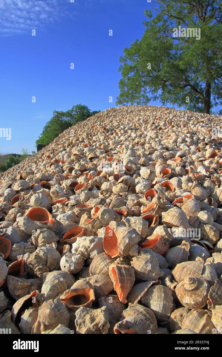 The photo was taken in Odessa region in Ukraine. The picture shows a ...