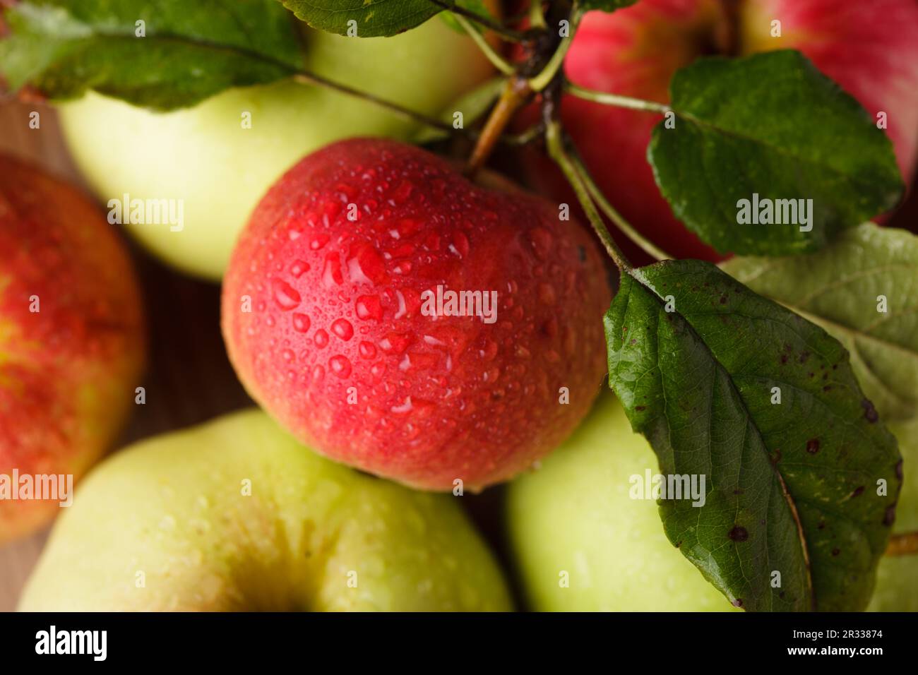 Selective crop hi-res stock photography and images - Alamy