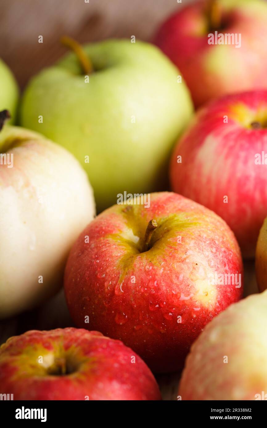 Selective crop hi-res stock photography and images - Alamy