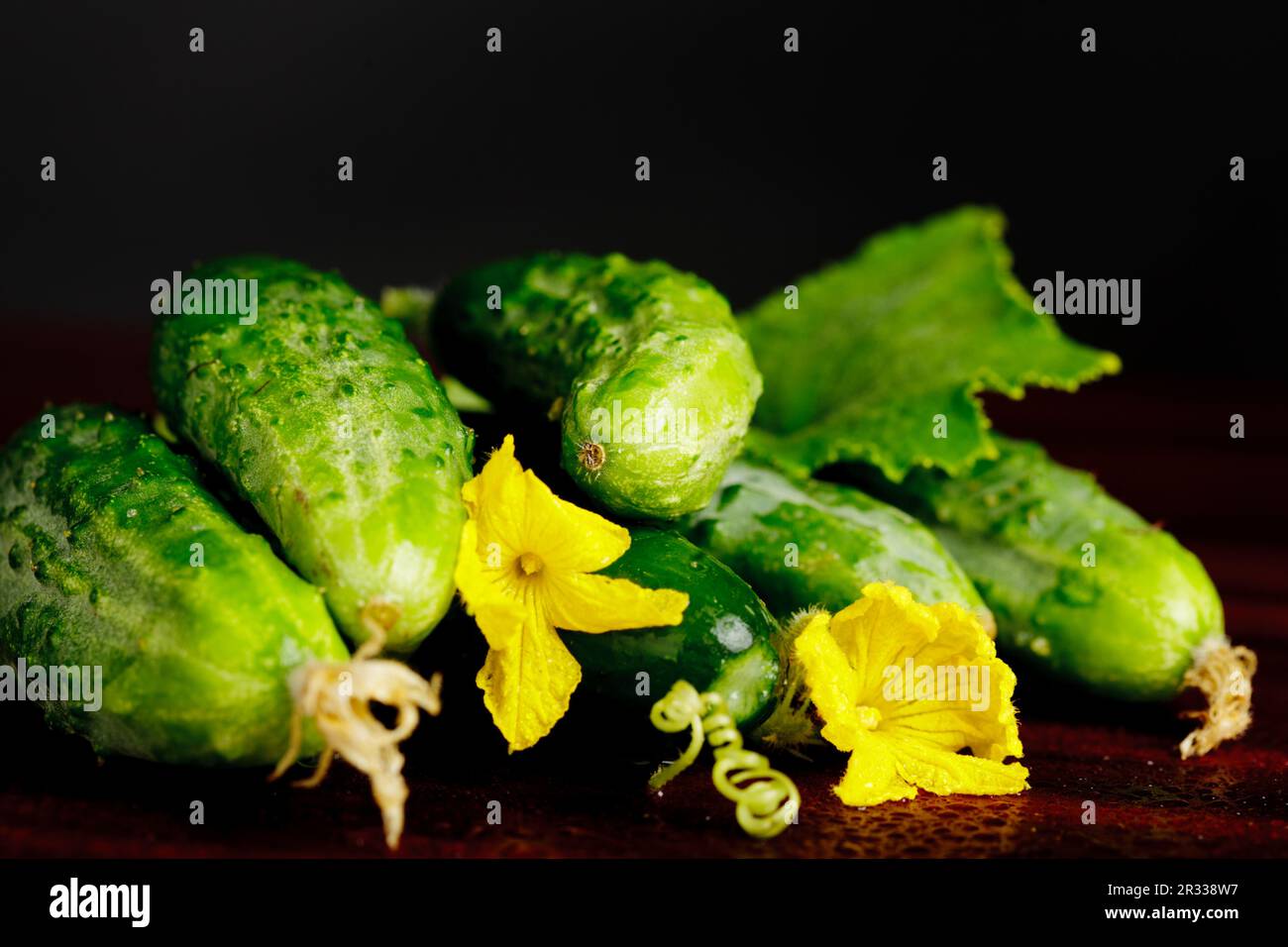 Cucumbers yellow flowers hi-res stock photography and images - Alamy