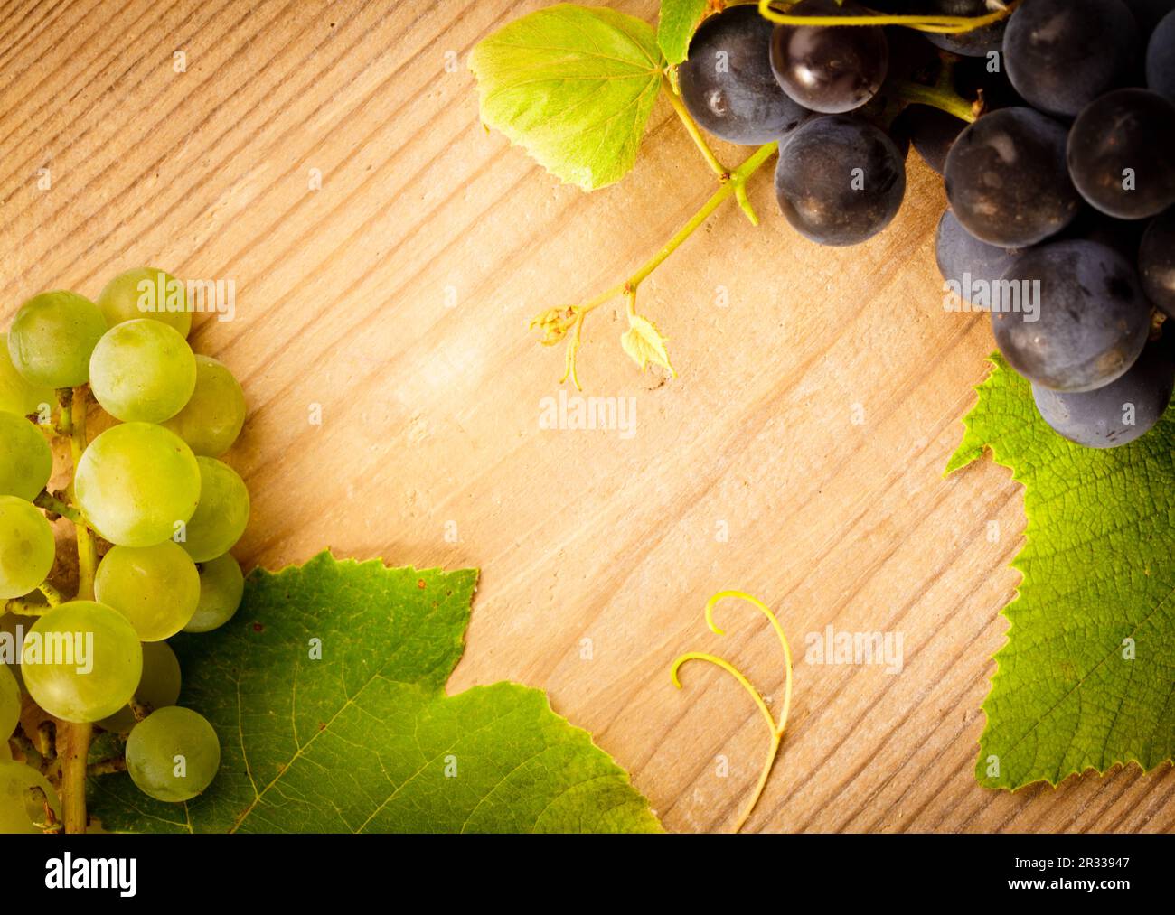 Table grape vineyard hi-res stock photography and images - Alamy