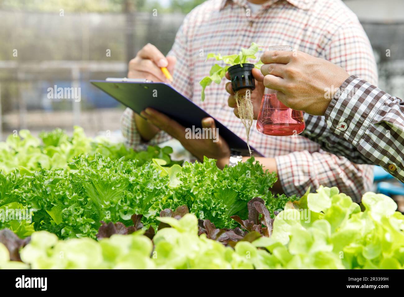 Smart agriculture technology concept - Farmer monitoring organic ...