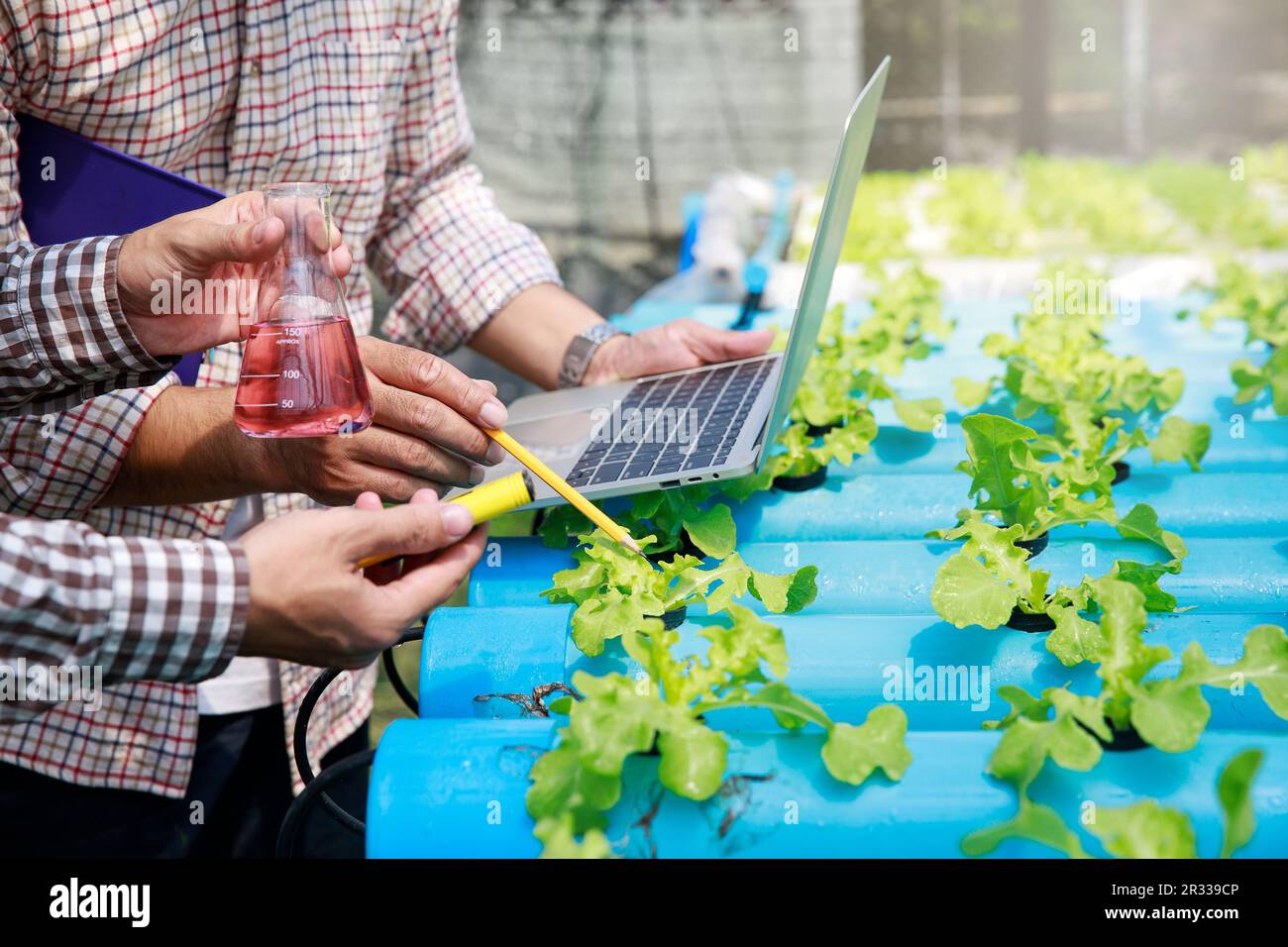 Smart agriculture technology concept - Farmer monitoring organic ...