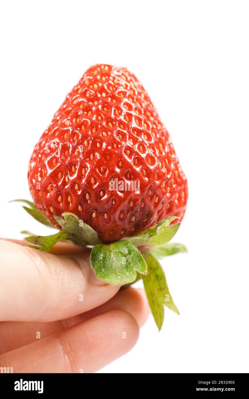 Hand strawberry hi-res stock photography and images - Alamy