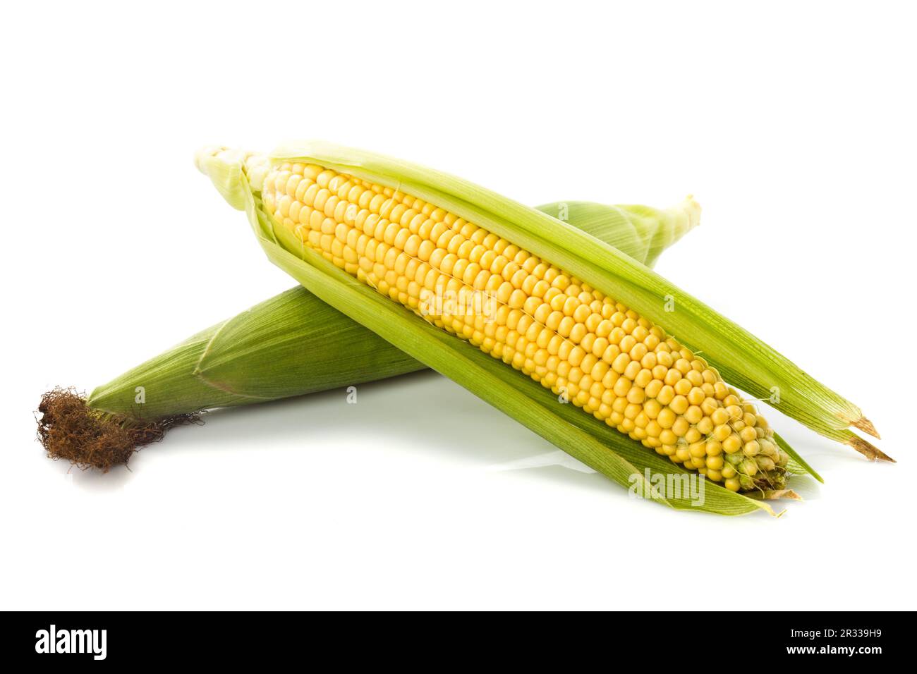 Corn cobs isolated Stock Photo - Alamy