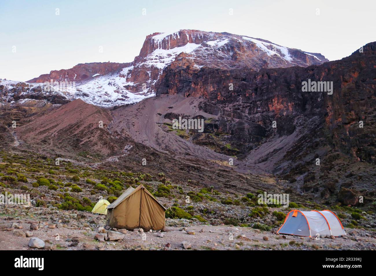 Stella point hi-res stock photography and images - Alamy