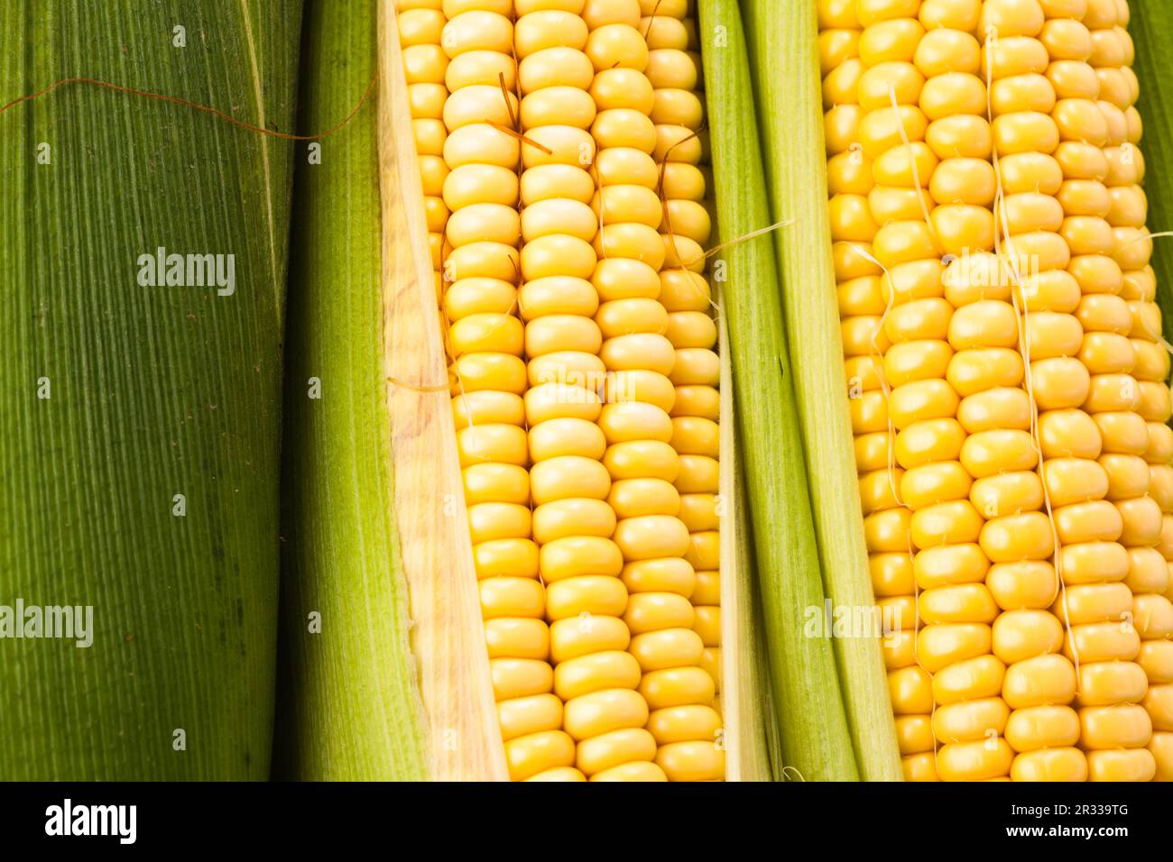 Corn kernels pattern hi-res stock photography and images - Alamy