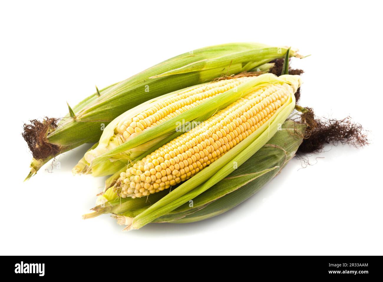 Corn cobs isolated Stock Photo - Alamy