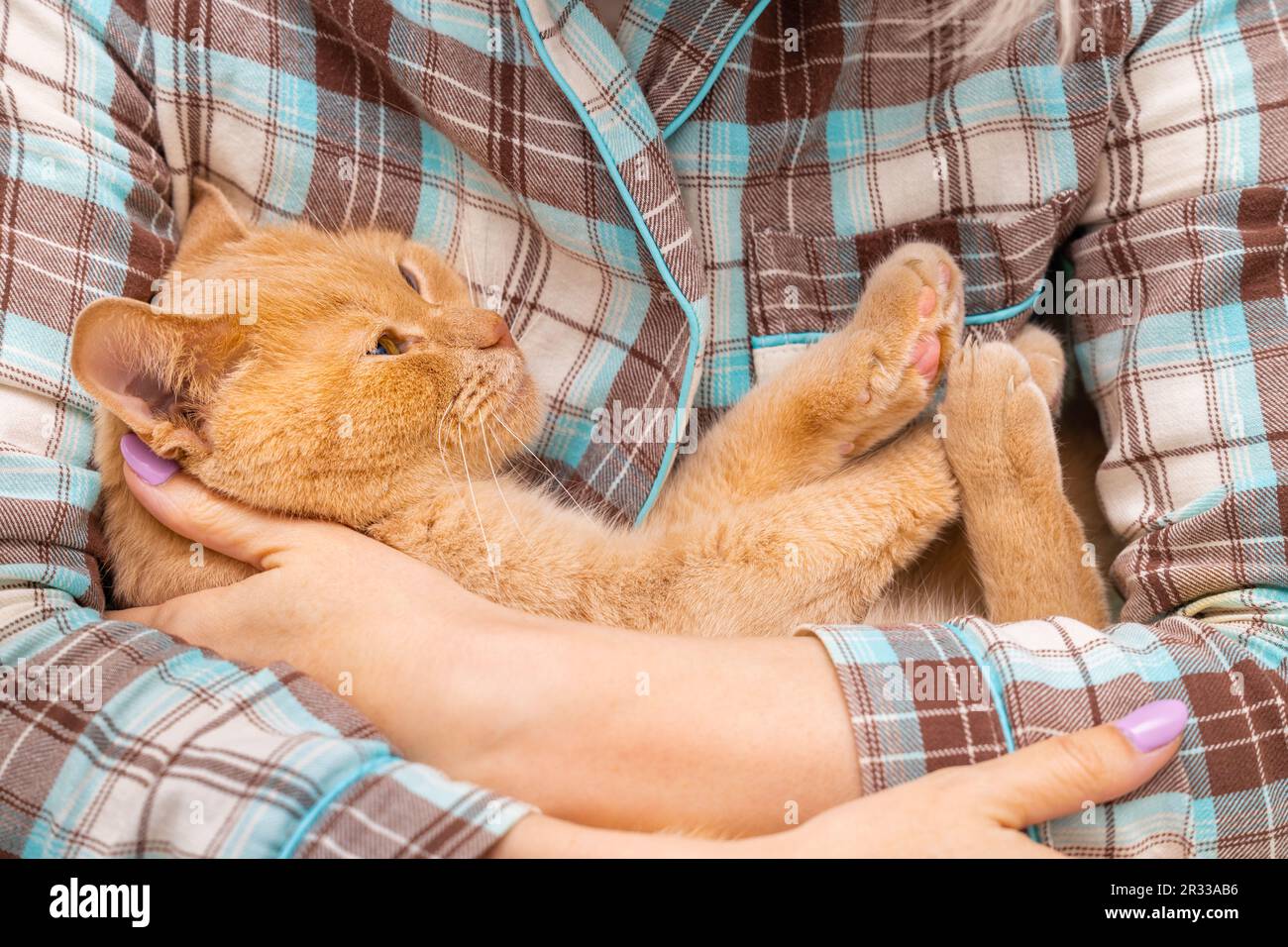 woman holding a cat in her arms as a child. woman hugging a cat. man ...