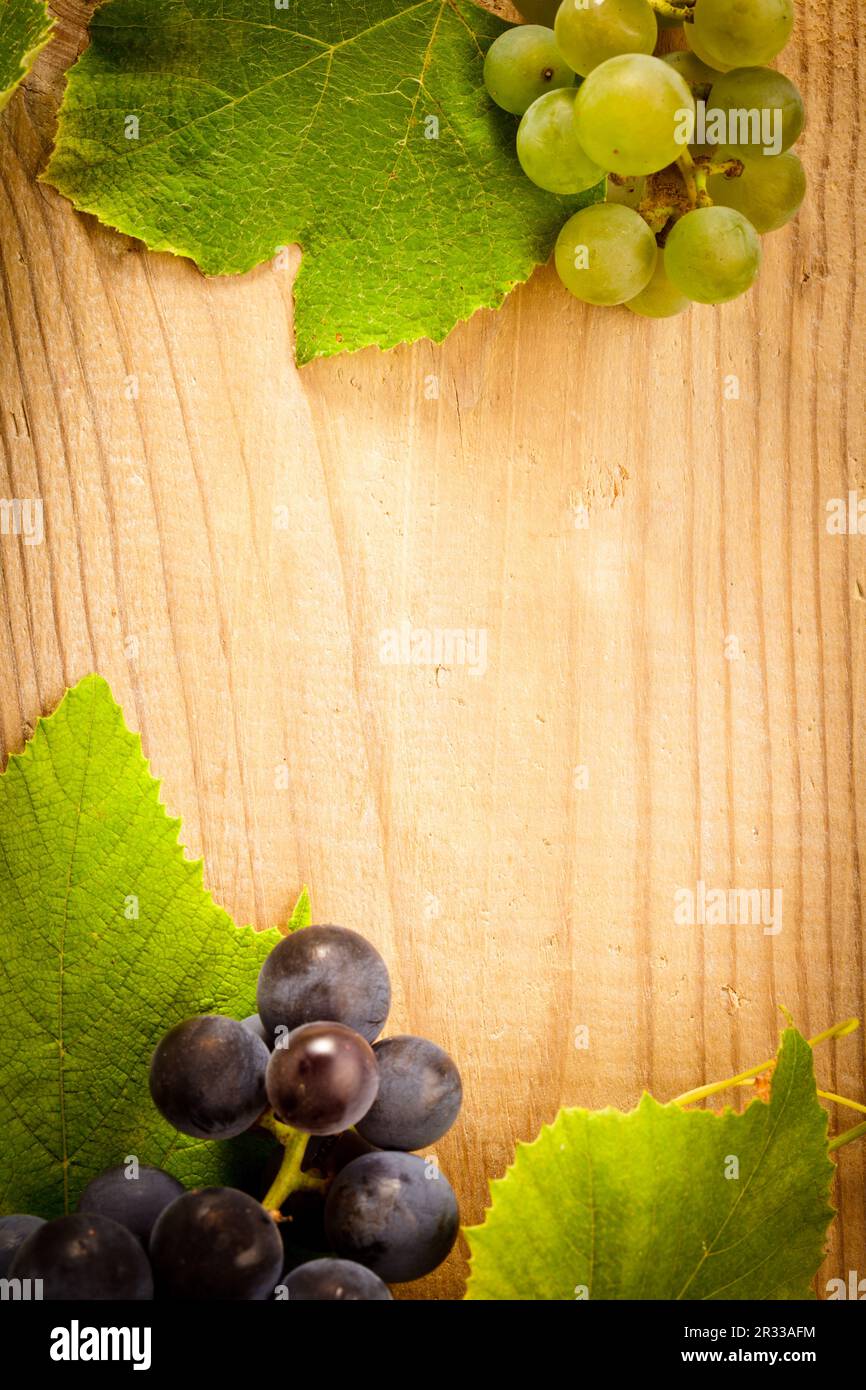Table grape vineyard hi-res stock photography and images - Alamy
