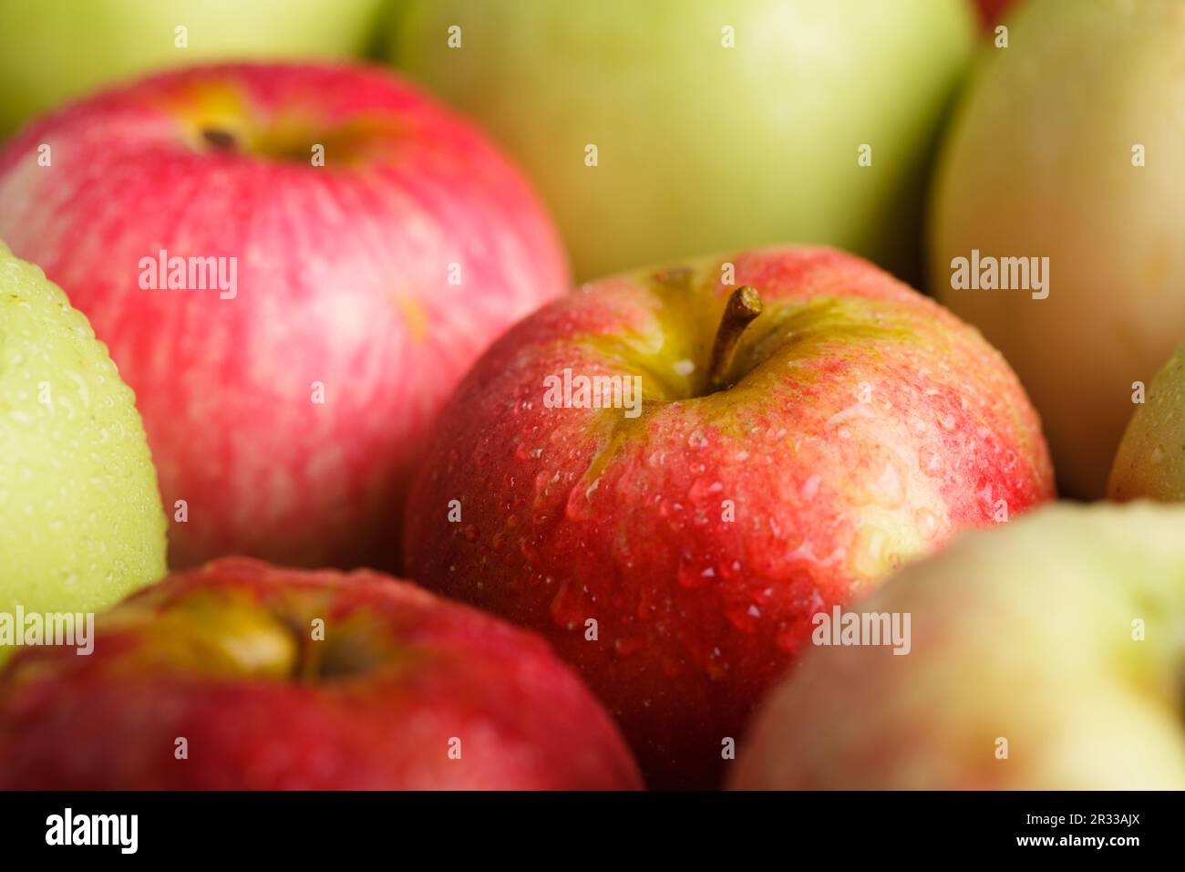 Selective crop hi-res stock photography and images - Alamy