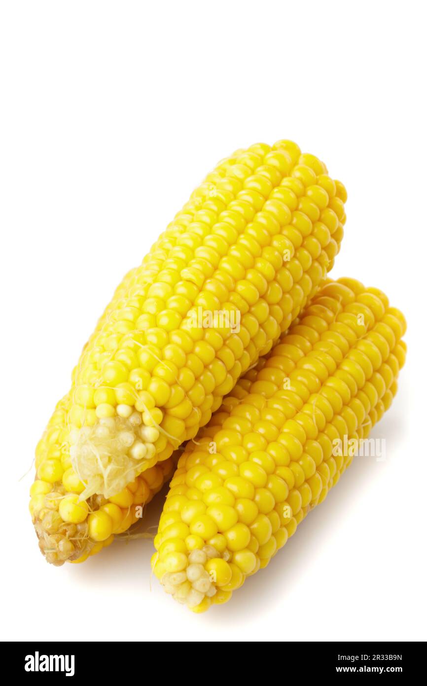 Three fresh sweet corn hi-res stock photography and images - Alamy