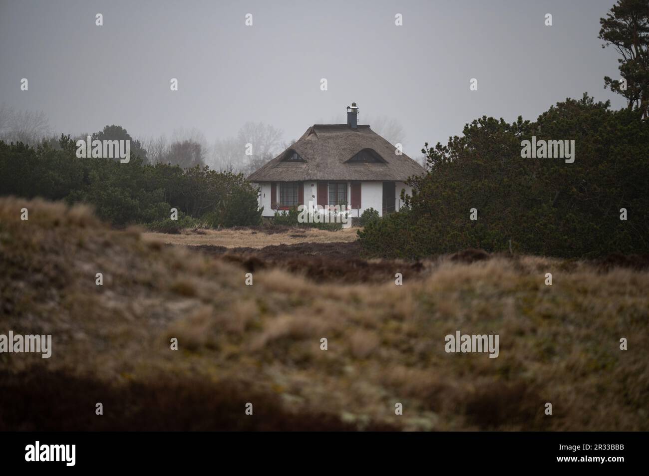 Haus hiddensee hi-res stock photography and images - Alamy