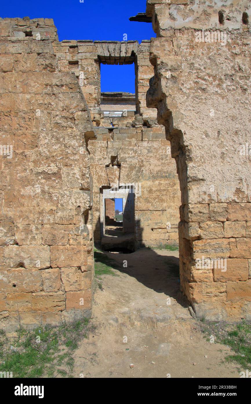 The photo shows the ruins of the old palace-estate of the Dubetsky ...
